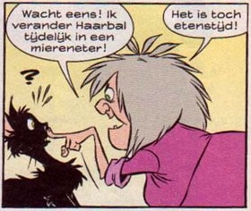 Duckipedia - Madam Mikmak - DonaldDuck.nl